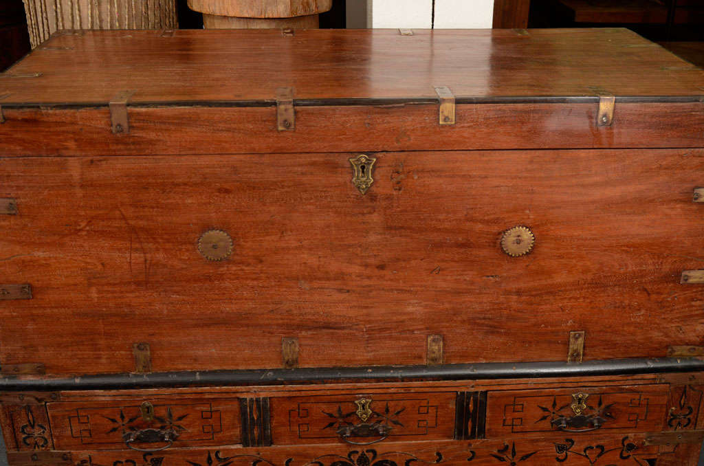 Mahogany Trunk on Raised Platform For Sale at 1stDibs