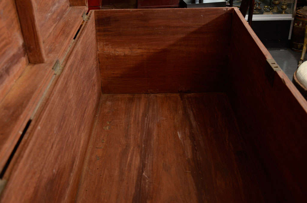 Mahogany Trunk on Raised Platform For Sale at 1stDibs