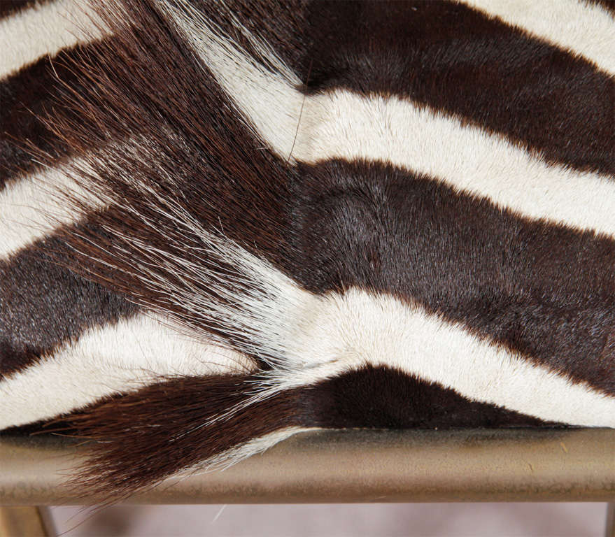 Art Deco Brass and Zebra Skin Stool at 1stDibs