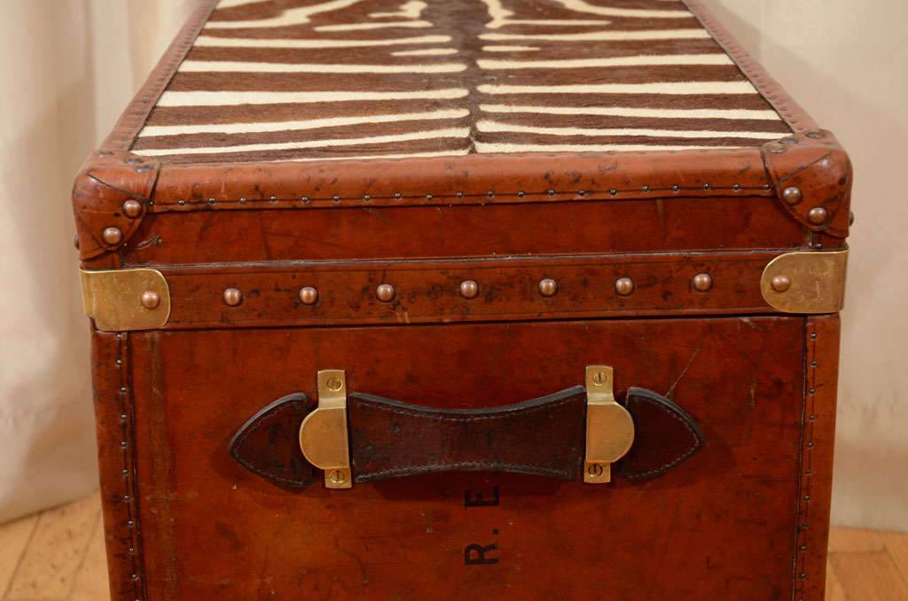 Large Pair of Matching Zebra Skin Trunks at 1stDibs