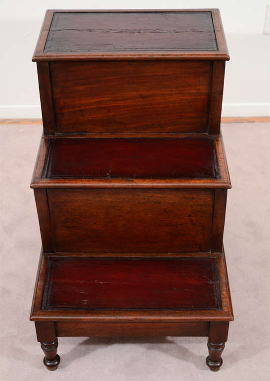 Antique 19th Century Library Step Stool with Leather Insets at 1stDibs ...