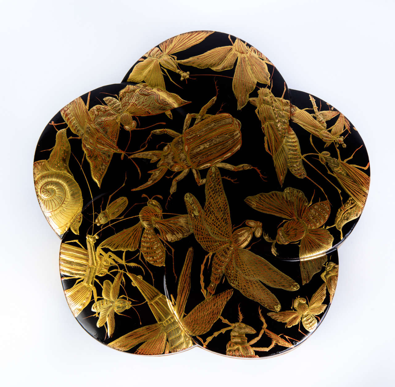 Edo Kobako Black and Gold Japanese Lacquer with Insects and Snails ...