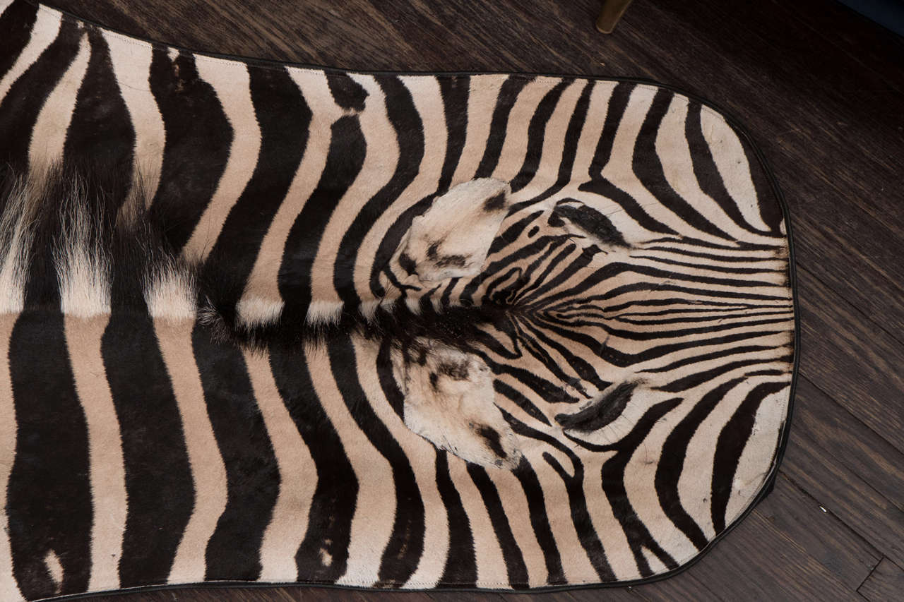 Zebra Rug with Black Felt Backing and Leather Piping For Sale at ...