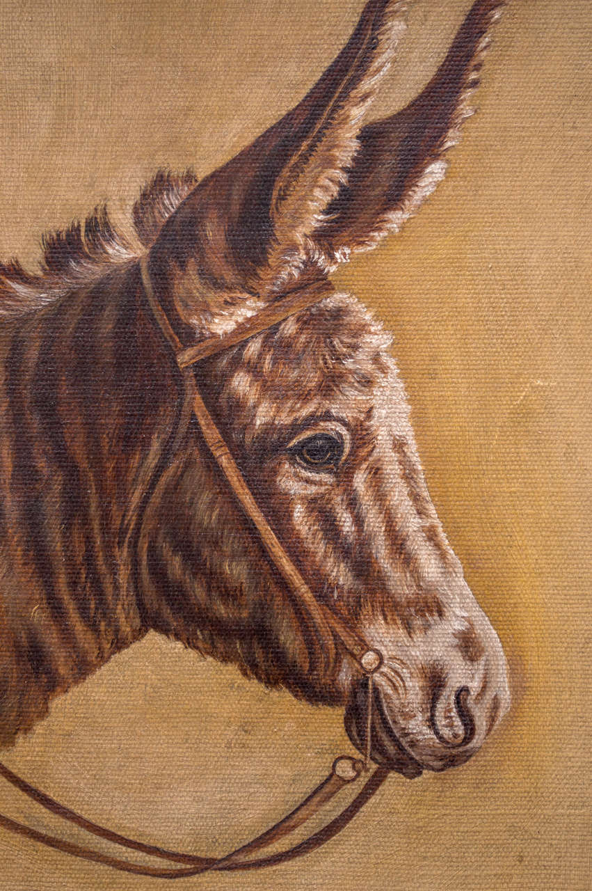 Late 19th Century Donkey Portrait For Sale at 1stDibs