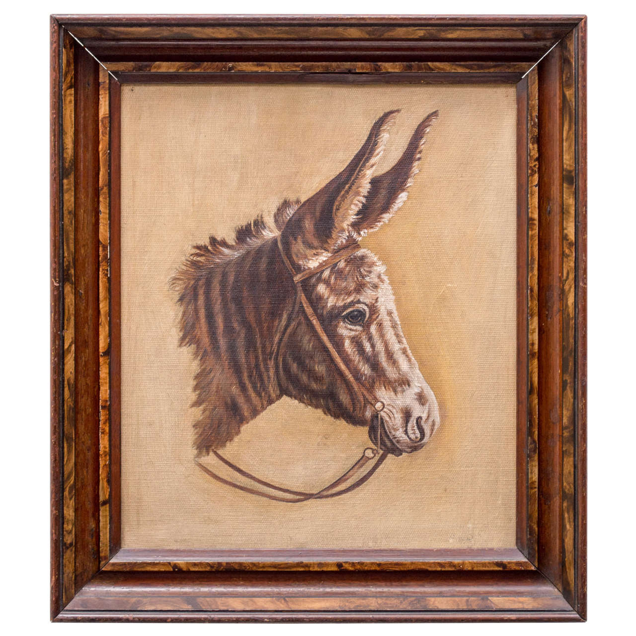 Late 19th Century Donkey Portrait For Sale at 1stDibs