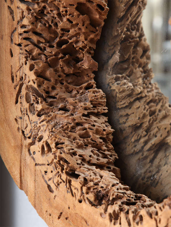 Natural Wormwood Tree Stump Mirror at 1stDibs | wood stump mirror
