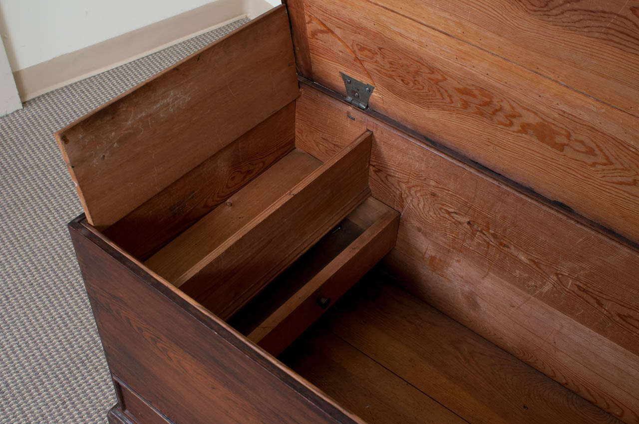 Pine Mule Chest. at 1stDibs