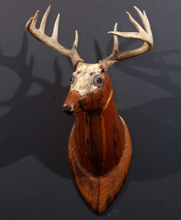 19th Century Hand-carved Taxidermy Mount at 1stDibs