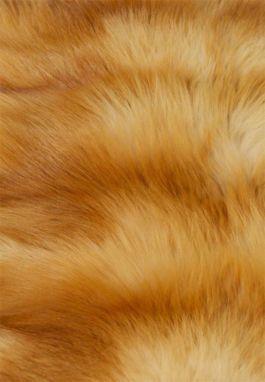 Hermes Orylag Fur Throw at 1stDibs | what is orylag