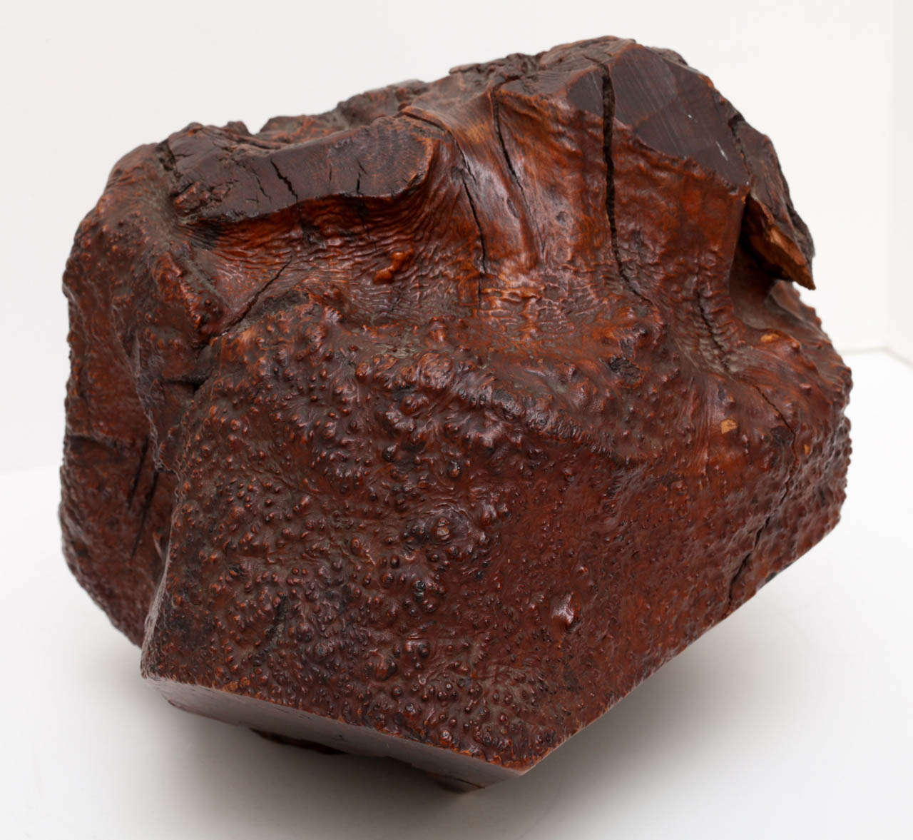 Dunhill Root Briars Wood Specimen at 1stDibs