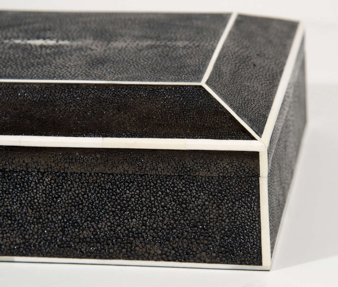Large Exotic Shagreen Box with White Bone Inlay at 1stDibs | white ...