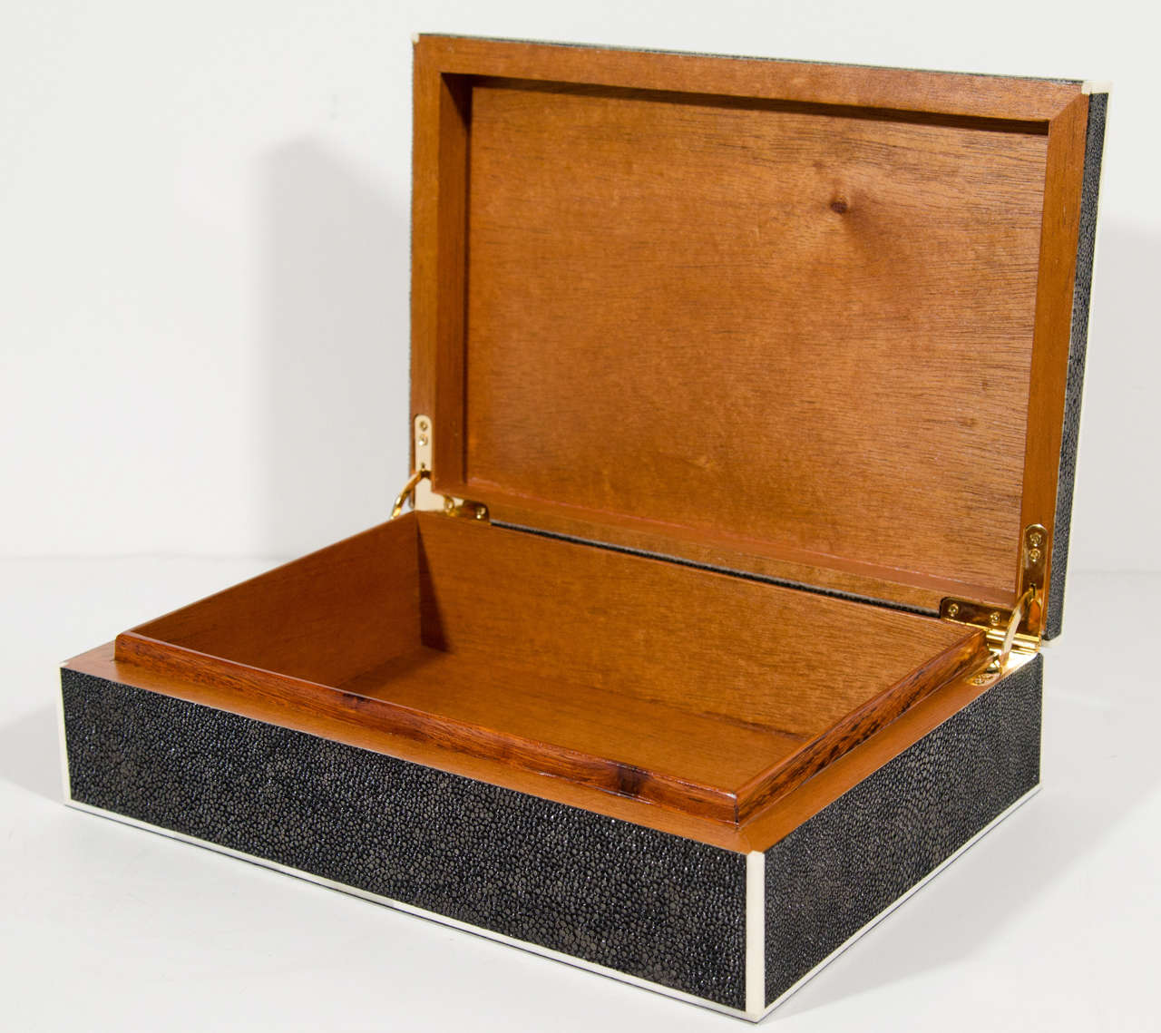 Large Exotic Shagreen Box with White Bone Inlay at 1stDibs | white ...