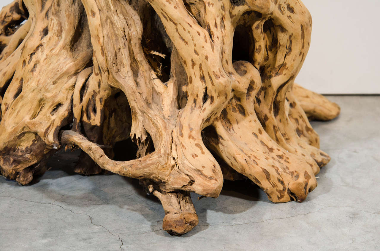 Root Wood Side Table at 1stDibs | wood root, root side table, rootwood