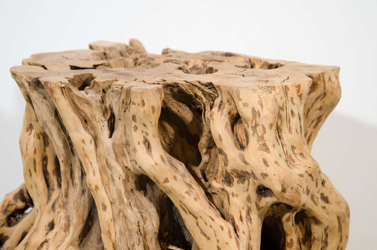 Root Wood Side Table at 1stDibs | wood root, root side table, rootwood