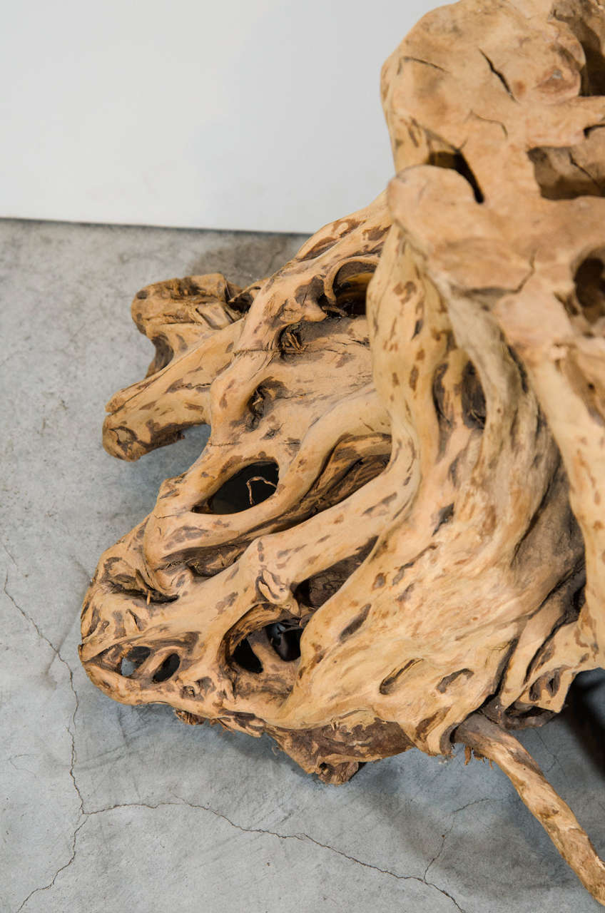 Root Wood Side Table at 1stDibs | wood root, root side table, rootwood