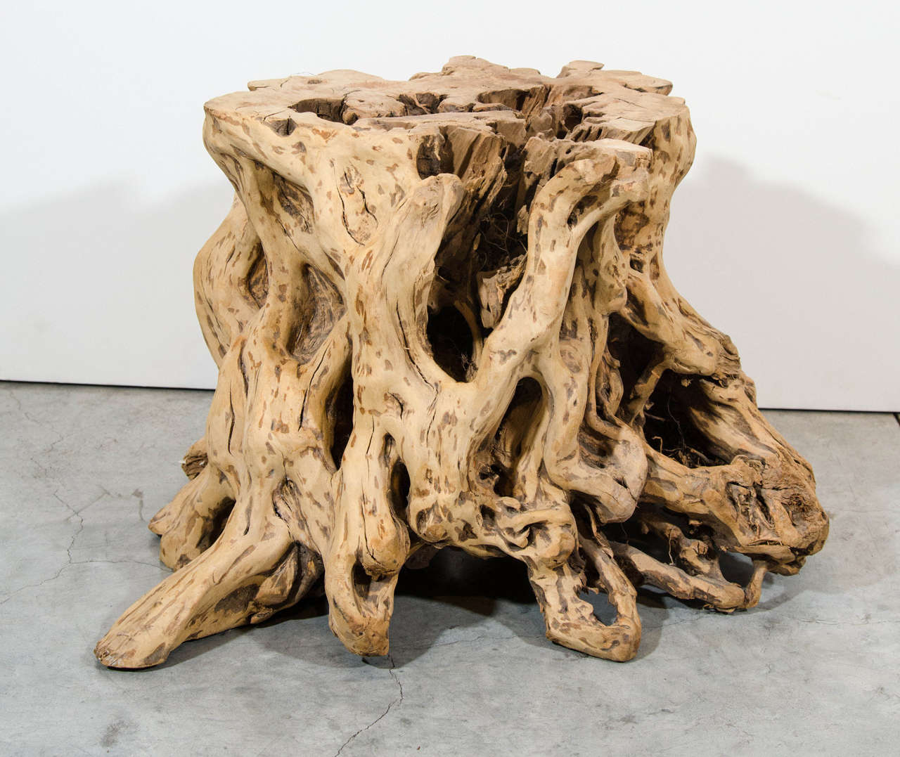 Root Wood Side Table at 1stDibs | wood root, root side table, rootwood
