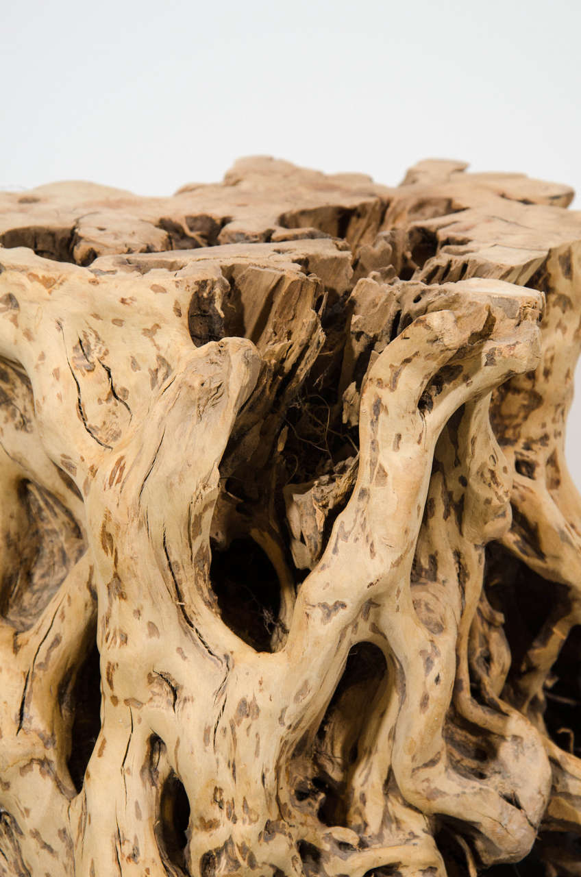 Root Wood Side Table at 1stDibs | wood root, root side table, rootwood