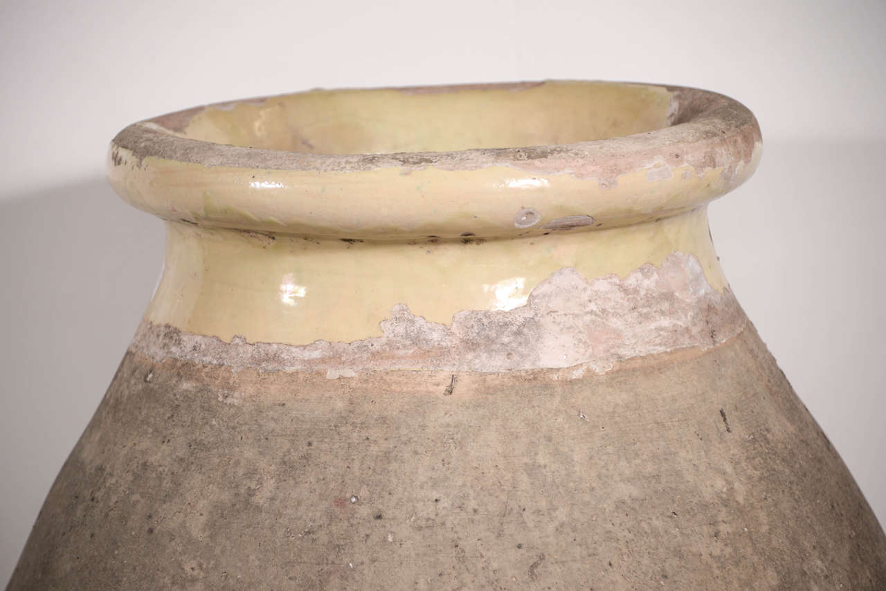 19th Century Ceramic Ligurian Italian Olive Oil Jars at 1stDibs ...