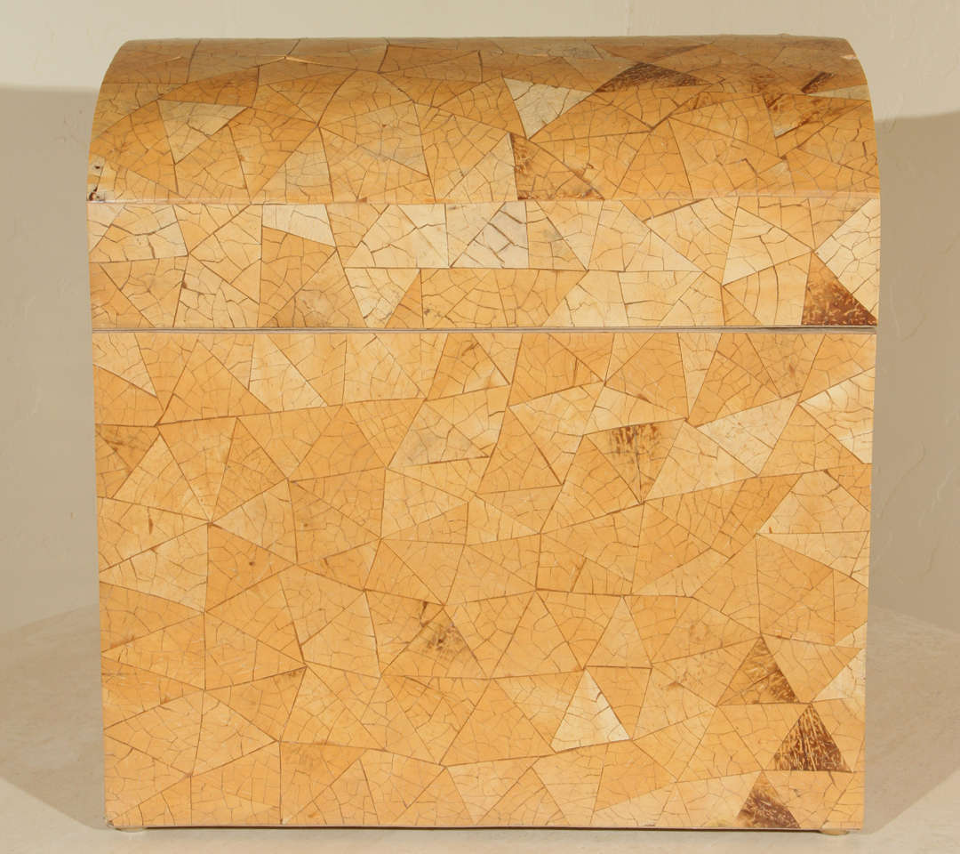Large Coconut shell box at 1stDibs
