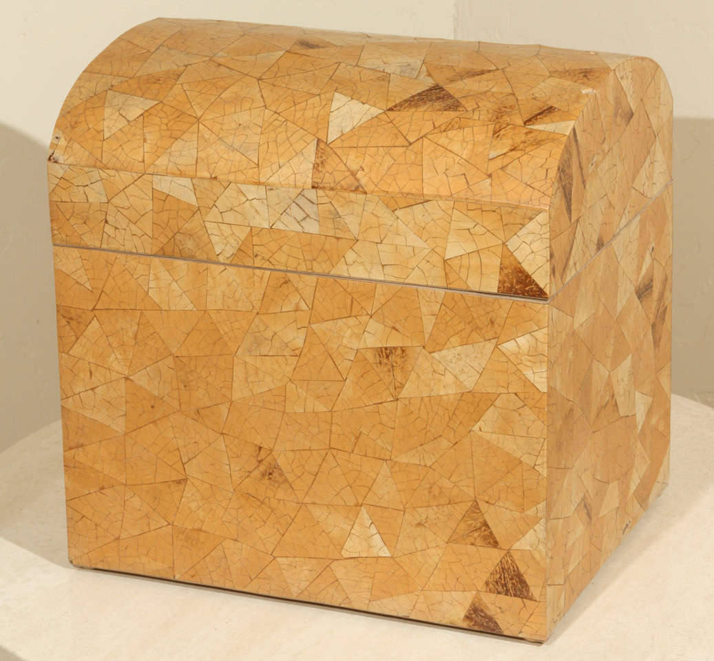 Large Coconut shell box at 1stDibs