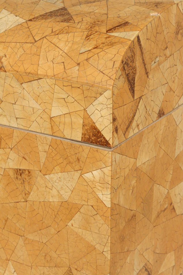 Large Coconut shell box at 1stDibs