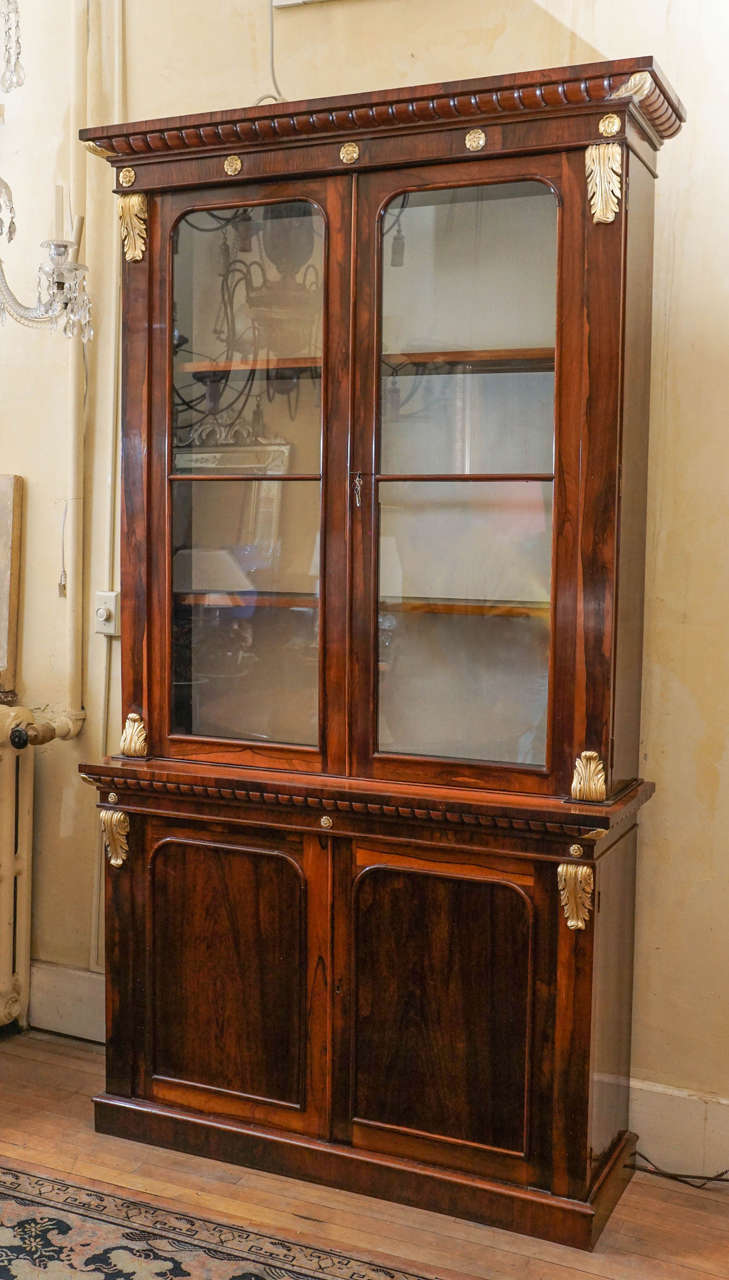 Very Fine William IV Rosewood Bookcase at 1stDibs