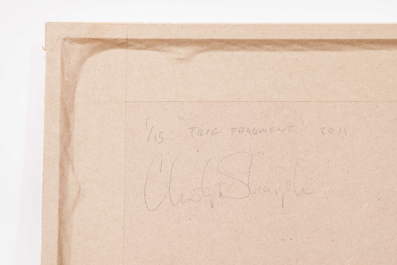 Christopher Sharples - Tree Fragment For Sale at 1stDibs
