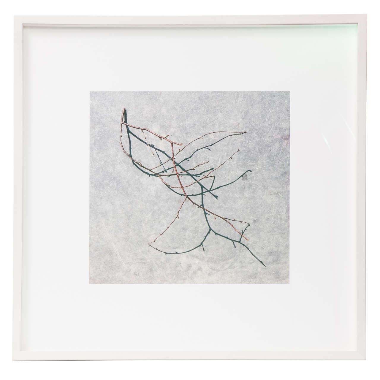 Anthony Henneberg - Crane at 1stDibs