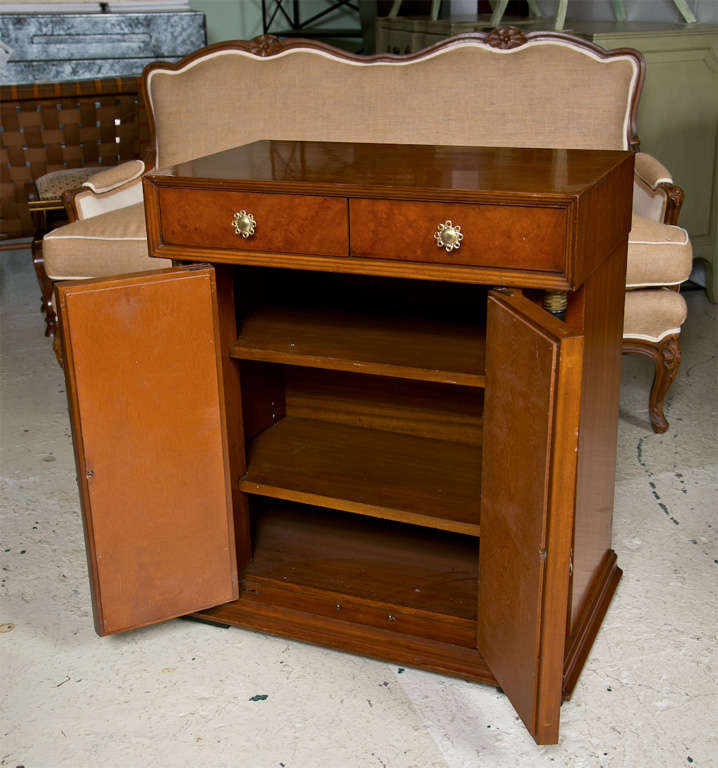 Pair of Regency Style Cabinets at 1stDibs