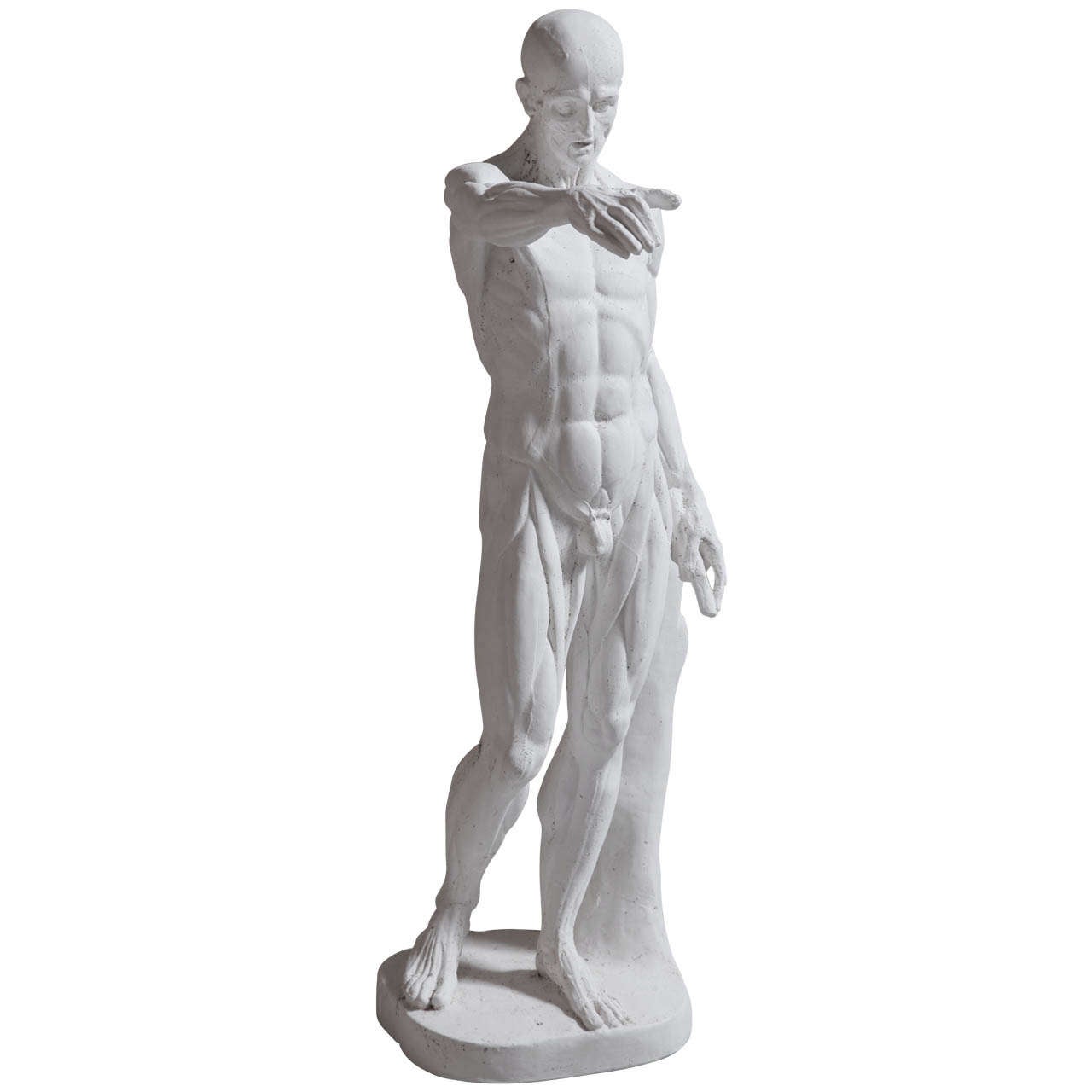Plaster Ecorche Sculpture - 5 For Sale on 1stDibs