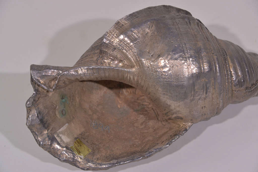 Pair of Cast Pewter Conch Shells by Maitland-Smith For Sale at 1stDibs