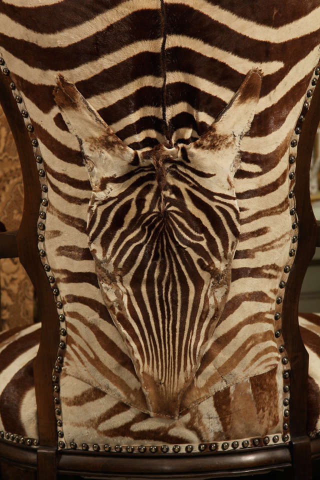 Vintage Zebra Armchair at 1stDibs | zebra chair, zebra arm chair