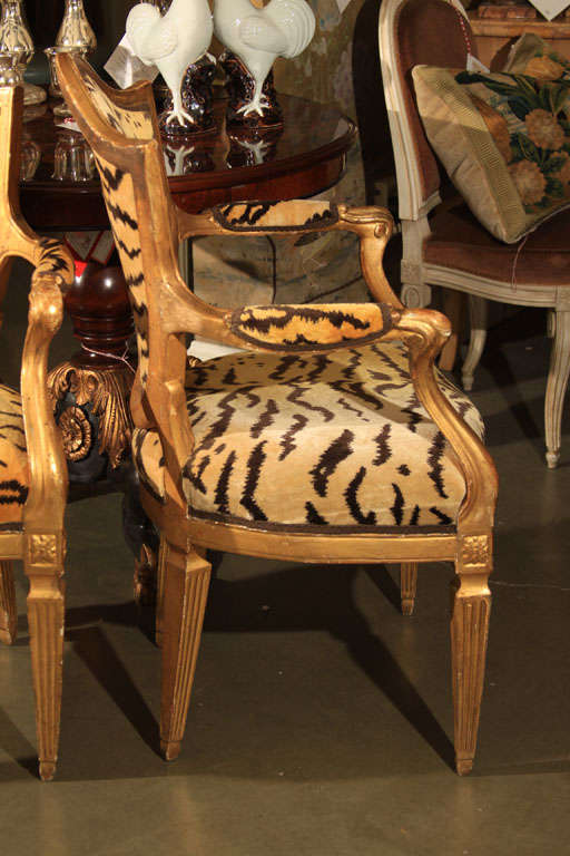 Pair of gilt chairs For Sale at 1stDibs