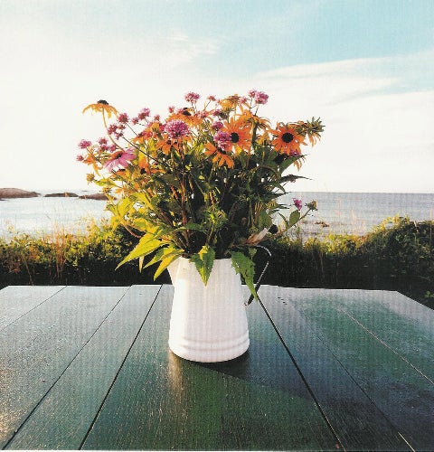 Peter C. Jones - Black Eyed Susans at Sunrise, Tappen House, Little ...