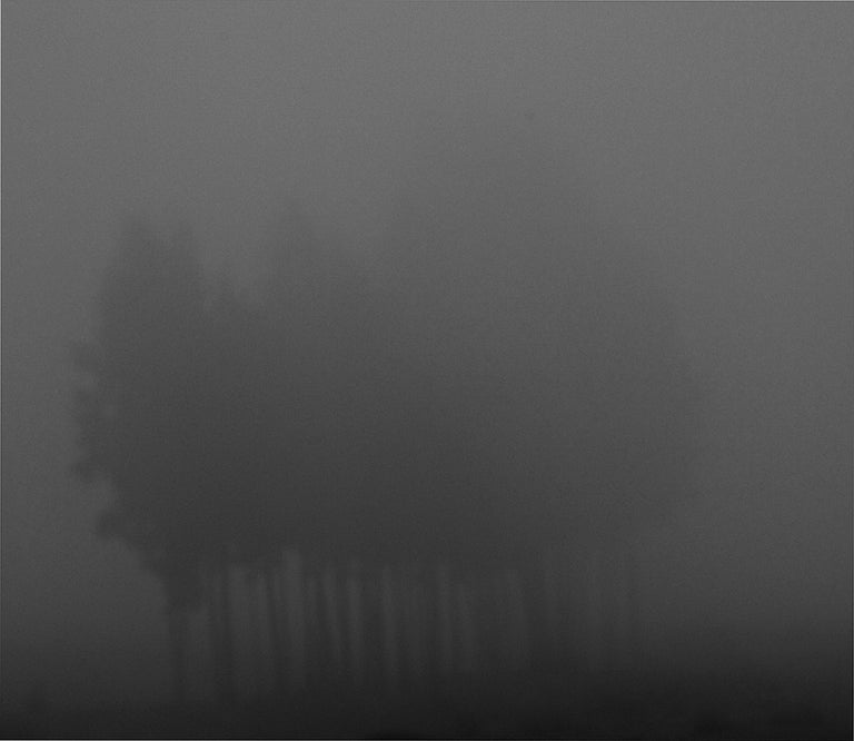 Haik Kocharian - Void Within Me, Ethiopia For Sale at 1stDibs