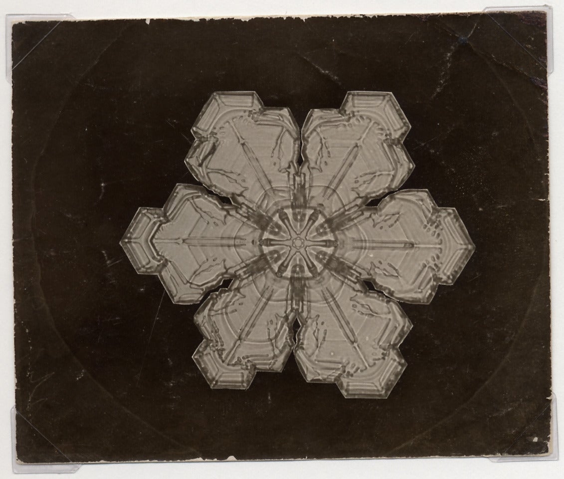Wilson A. Bentley - Snowflake For Sale at 1stDibs