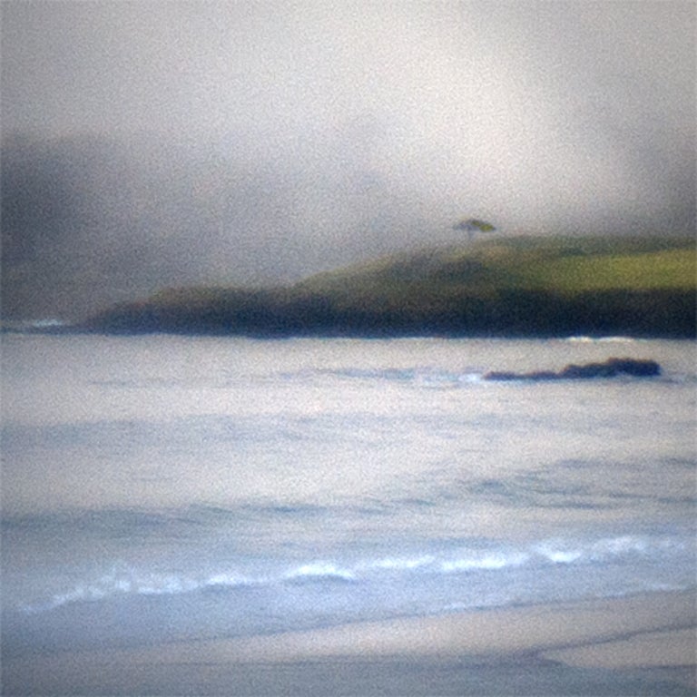 Dale Johnson - Cypress Tree For Sale at 1stDibs