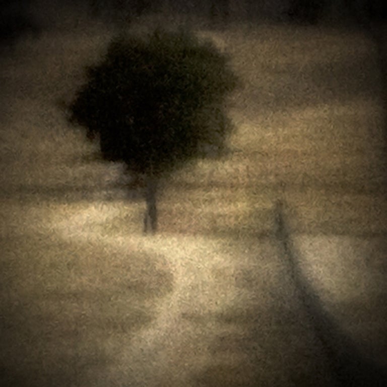 Dale Johnson - Guardian of the Path For Sale at 1stDibs