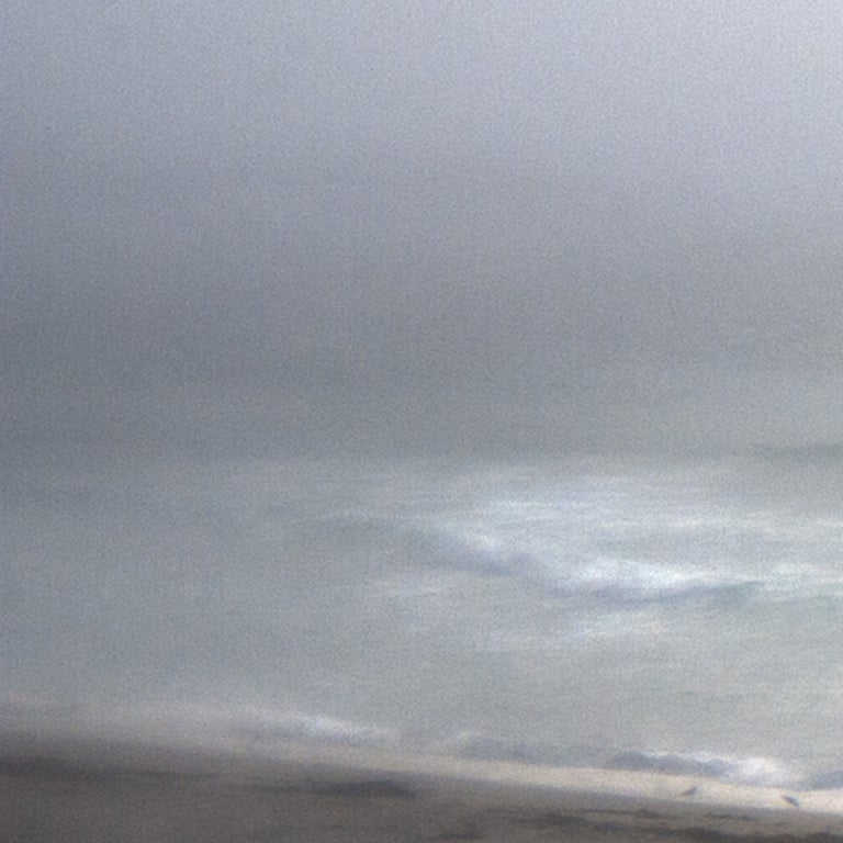 Dale Johnson - After the Storm For Sale at 1stDibs