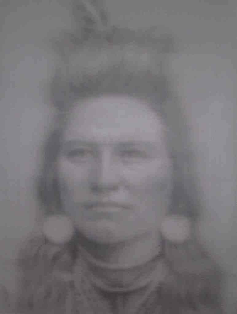 Alison Van Pelt - Yellow Hawk, Painting For Sale at 1stdibs