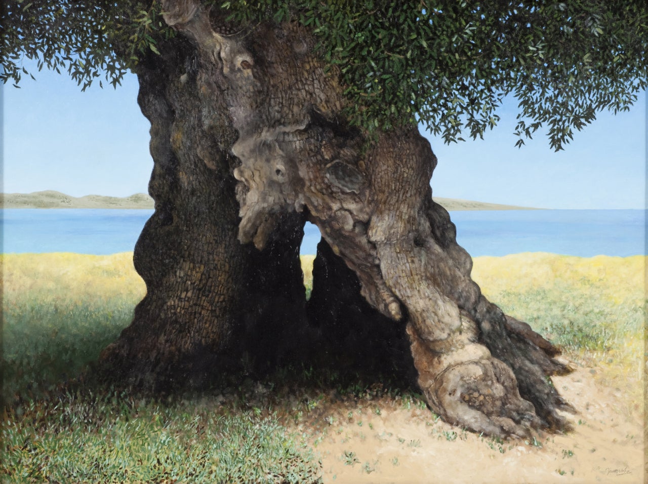 James Blake - Olive Tree and It's Sea For Sale at 1stDibs