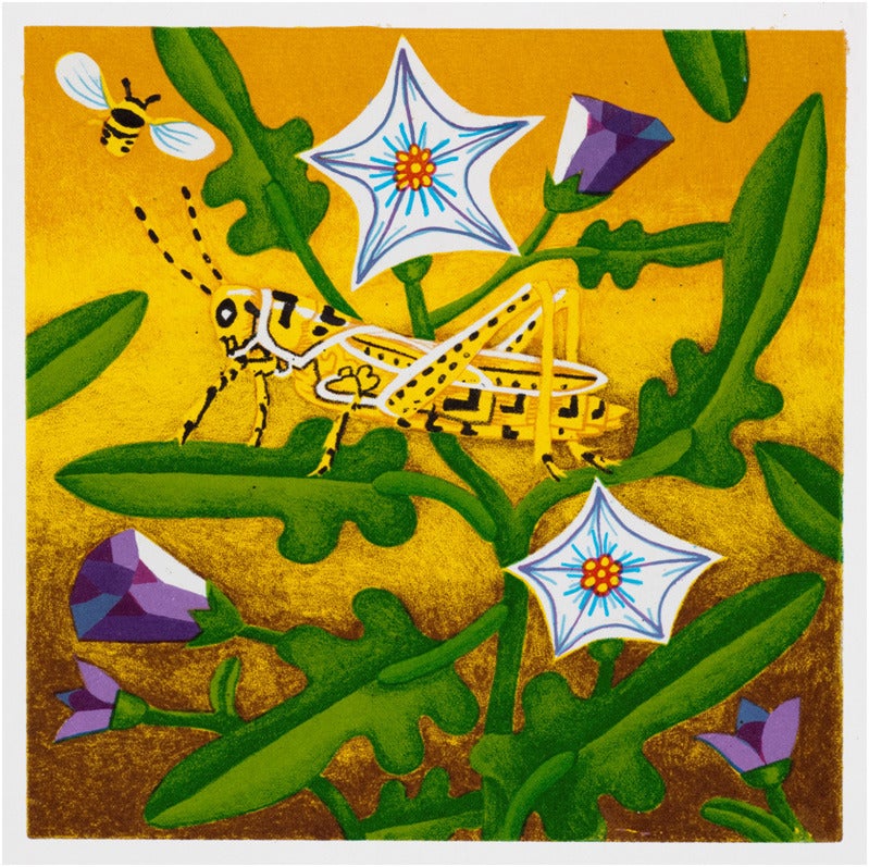 Billy Hassell - Grasshopper and Bindweed For Sale at 1stDibs