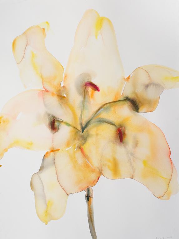 Kim McCarty - Yellow Lilly Dark For Sale at 1stDibs