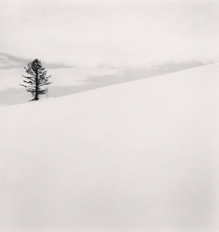 Michael Kenna - One Tree, Nakafurano, Hokkaido, Japan For Sale at 1stDibs
