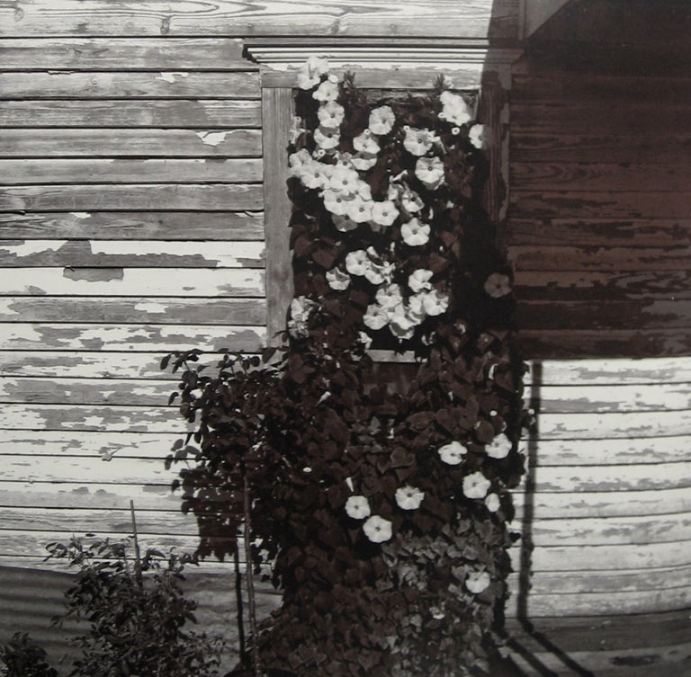 Keith Carter b.1948 - Fate, Rockwall County For Sale at 1stDibs