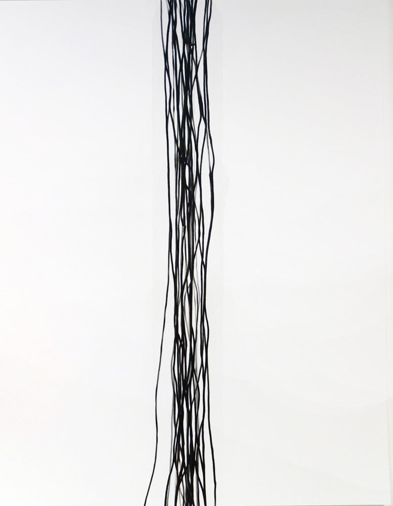 Marco Breuer Art - 2 For Sale at 1stDibs | tim breuer art