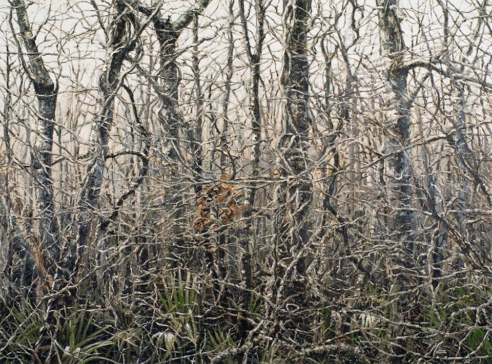 Paul Manes - The Beast in the Jungle at 1stDibs