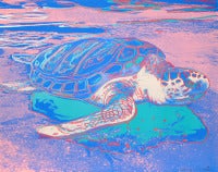 Andy Warhol - Turtle, at 1stDibs | andy warhol turtle