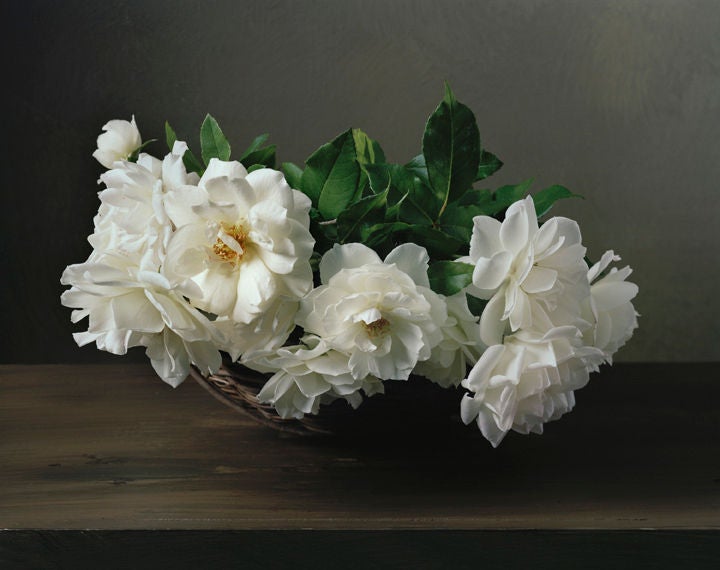 Sharon Core - 1840 at 1stDibs