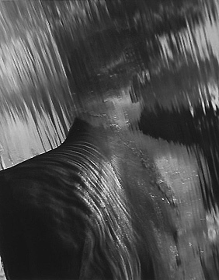 Herb Ritts, 1952-2002 - Waterfall, Hollywood For Sale at 1stDibs